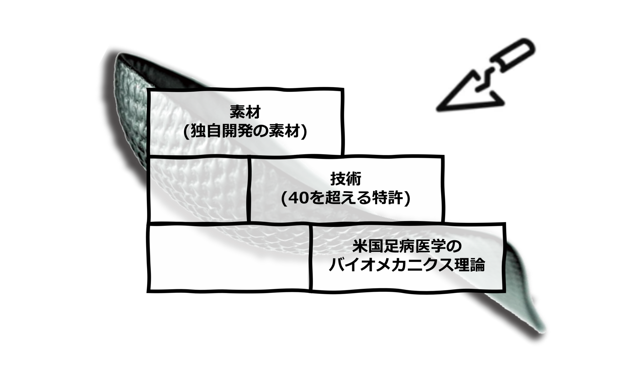 「SONAモデル」のご紹介 - ashinavi